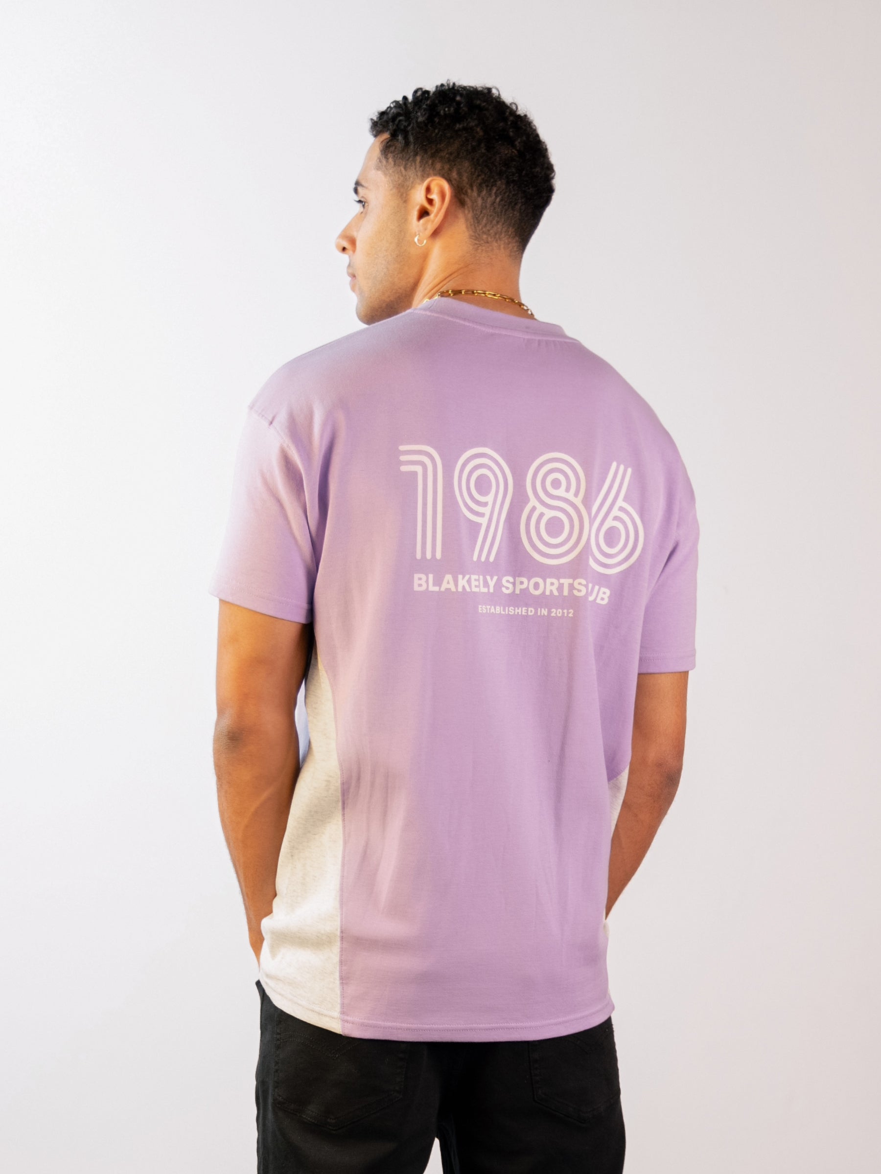 Buy Blakely Violet Panel Relaxed T-Shirt | Free delivery on orders over ...